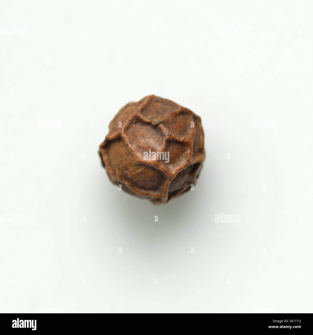 Single black peppercorn pepper hi-res stock photography and images - Alamy