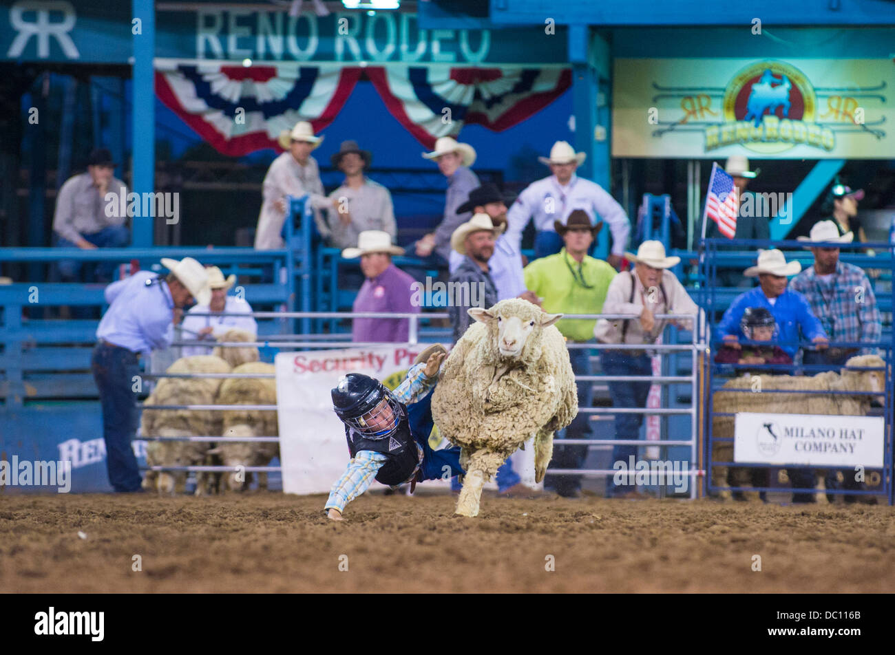A boy riding on a sheep during a Mutton Busting contest at the Reno ...