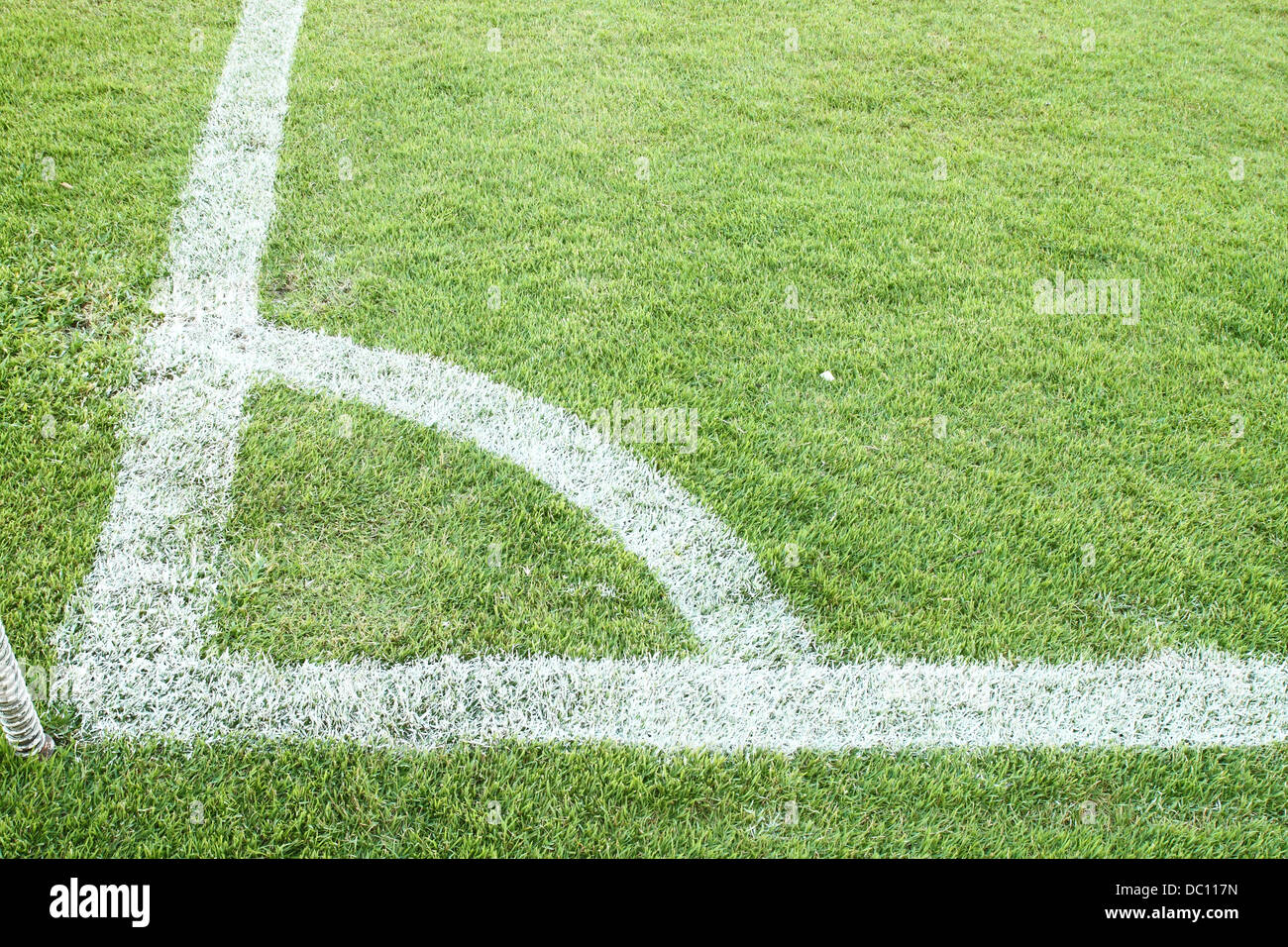 Football (soccer) field corner with white marks Stock Photo - Alamy