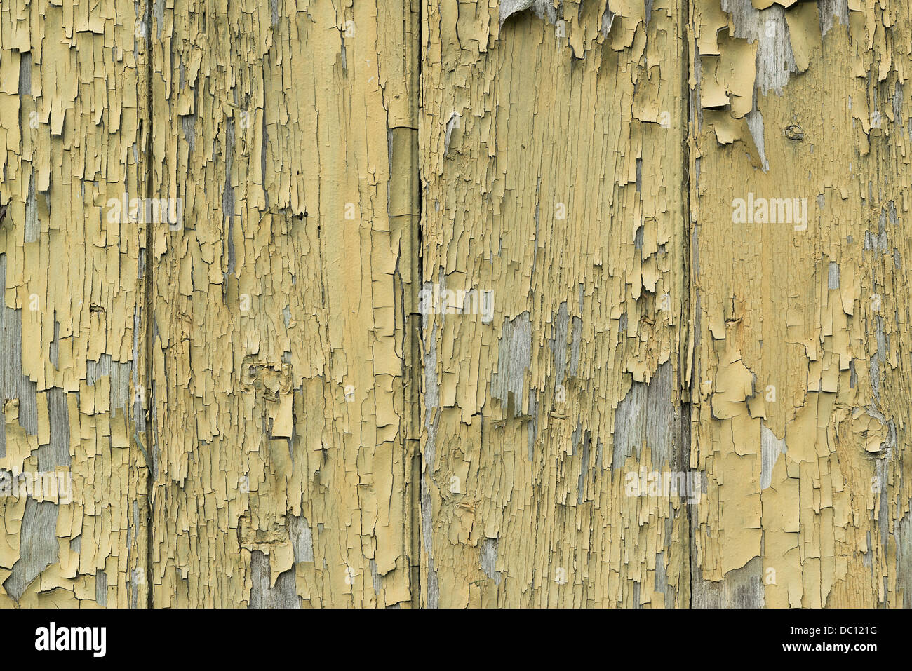 Pleeling hi-res stock photography and images - Alamy
