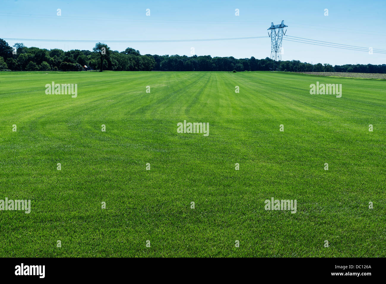 Turf farm, Burlington County, New Jersey, USA Stock Photo - Alamy