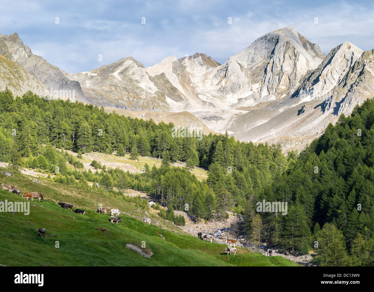 Europe, Austria, Tyrol. Valley Pfossental (Val di Fosse) between Texel ...