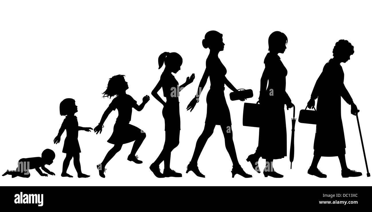 Different stages of development hi-res stock photography and images - Alamy