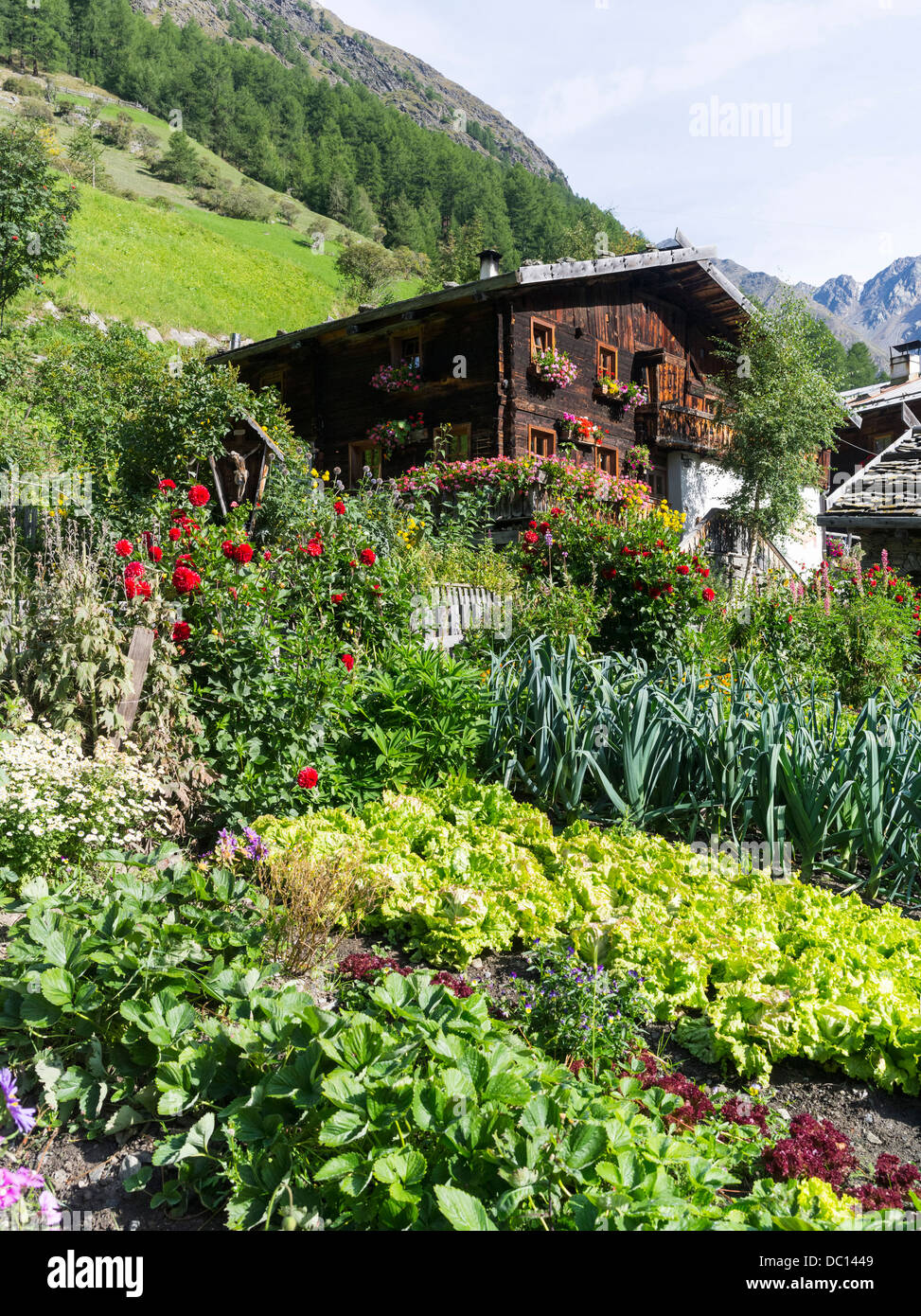Europe, Austria, Tyrol. Valley Pfossental between Texel mountain range ...