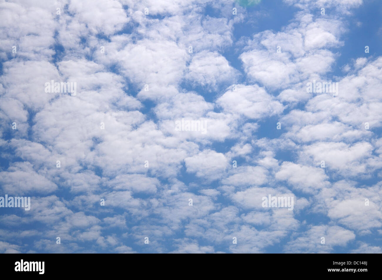 Blue mottled hi-res stock photography and images - Alamy
