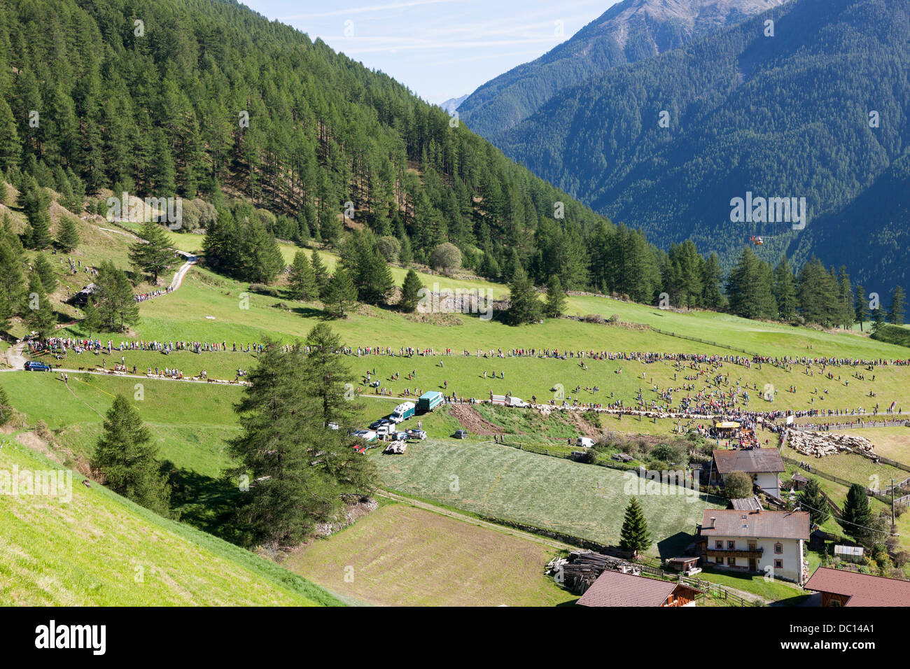 Transhumance: the great sheep trek across the Oetztal Alps between ...