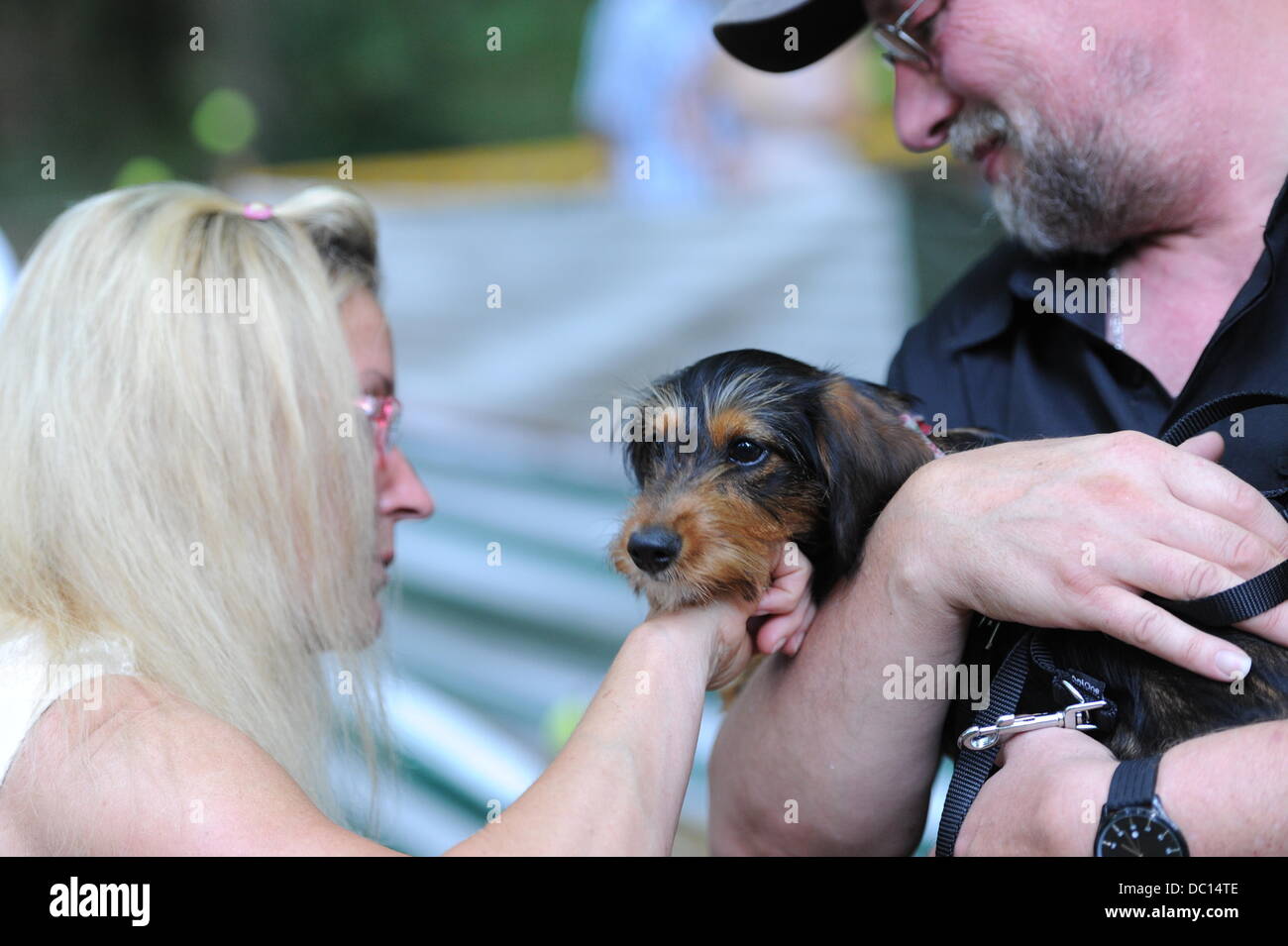 The yearly Dachshund race was held at the German Dachshund Club in ...