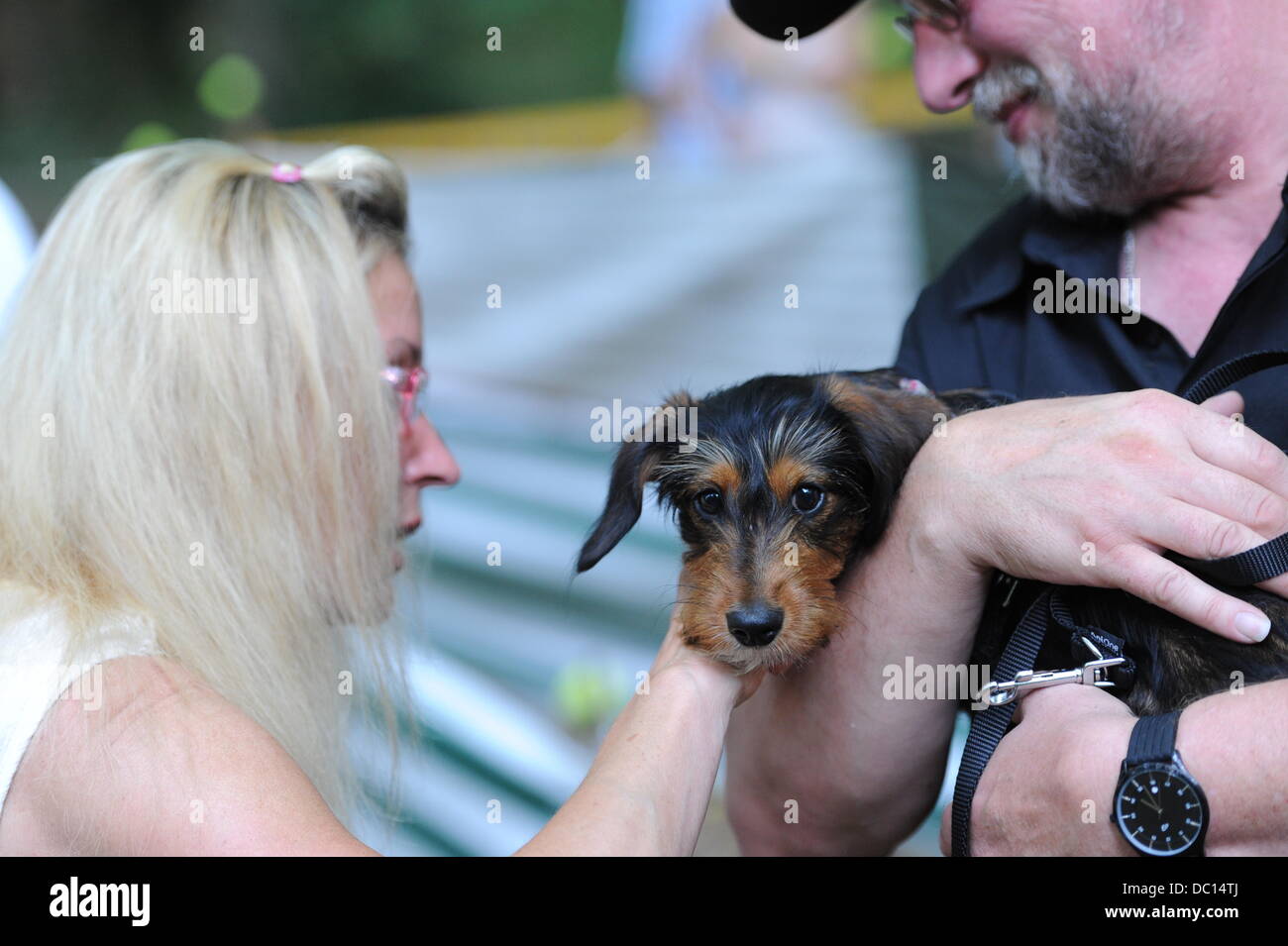 The yearly Dachshund race was held at the German Dachshund Club in ...