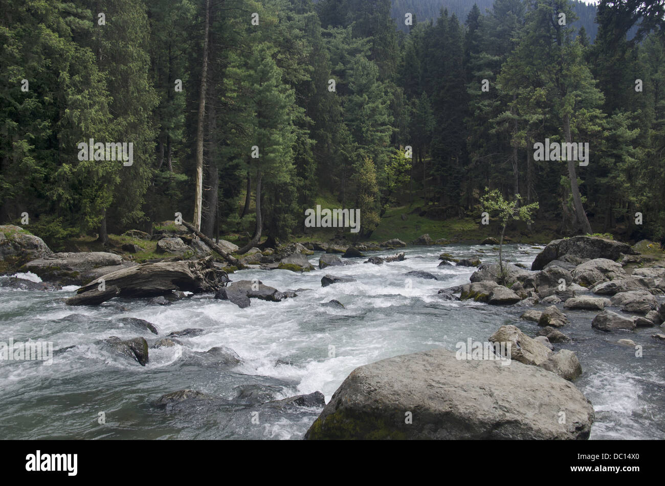 Lidder river on the way to Pahalgam, Jammu & Kashmir, India Stock Photo ...