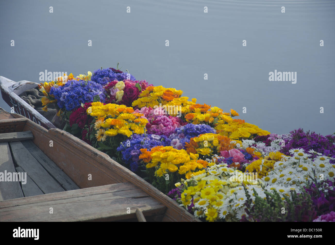 Colourful flowers displayed on Shikara (houseboat), Nageen Lake ...