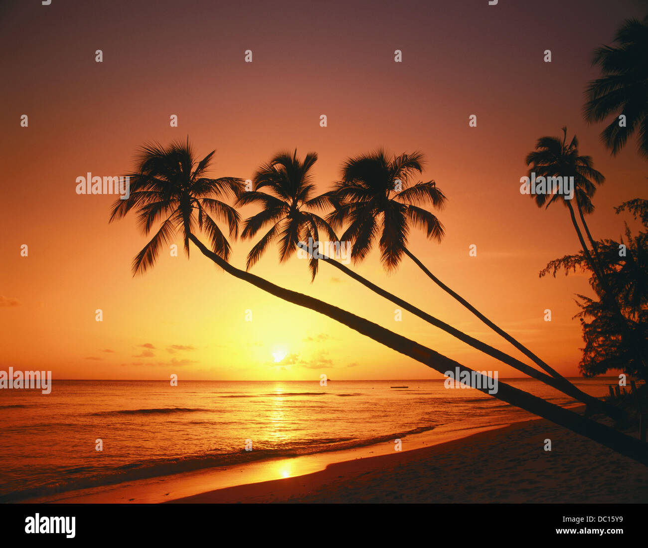 Barbados mullins beach hi-res stock photography and images - Alamy