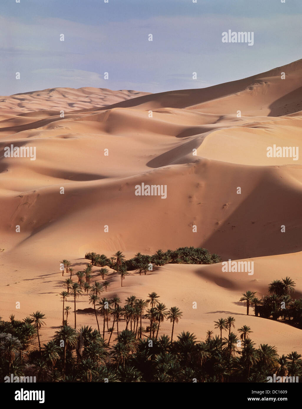 Tarhit oasis hi-res stock photography and images - Alamy