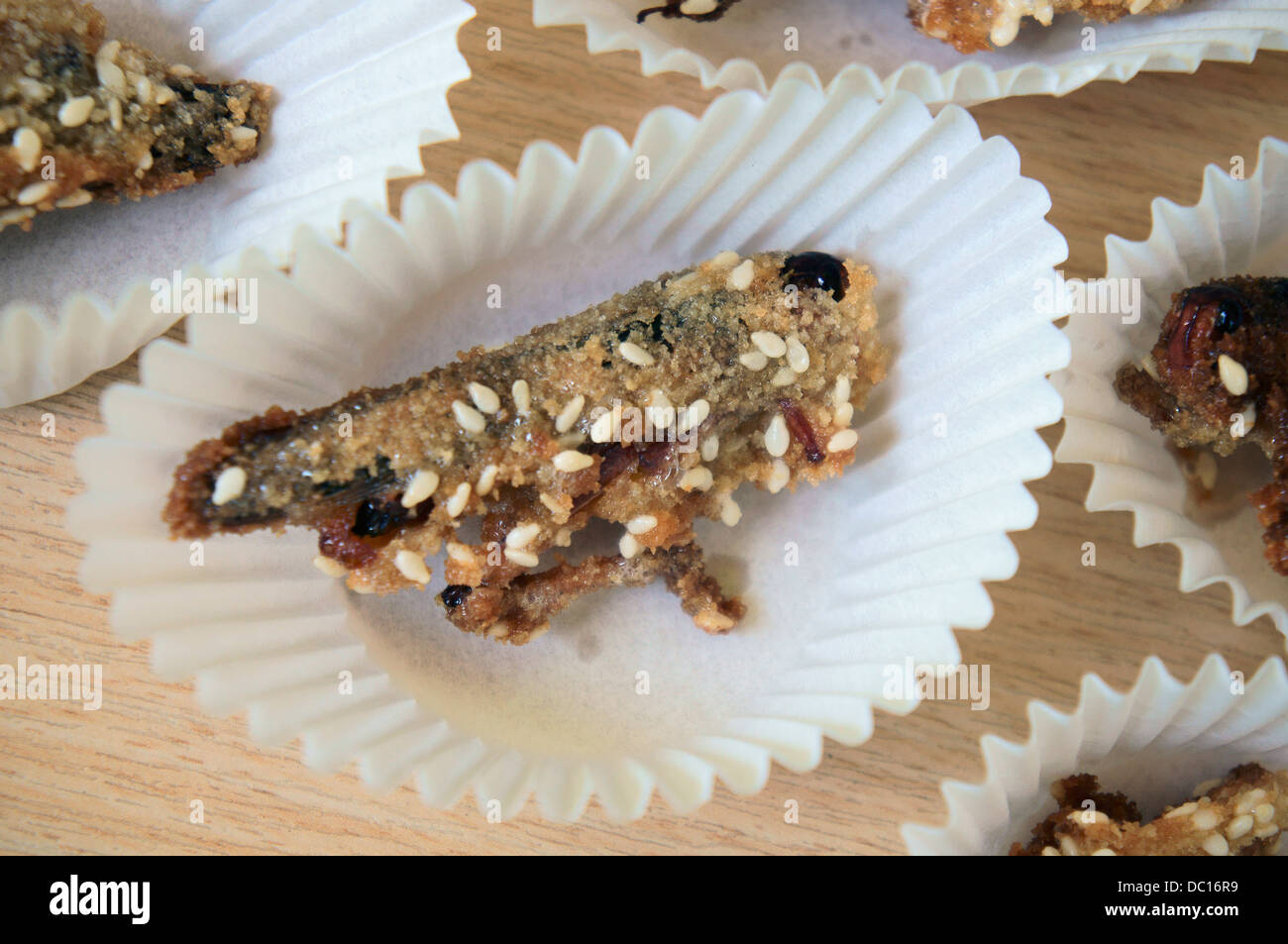 unusual insect dishes, migratory locust, Locusta migratoria Stock Photo ...