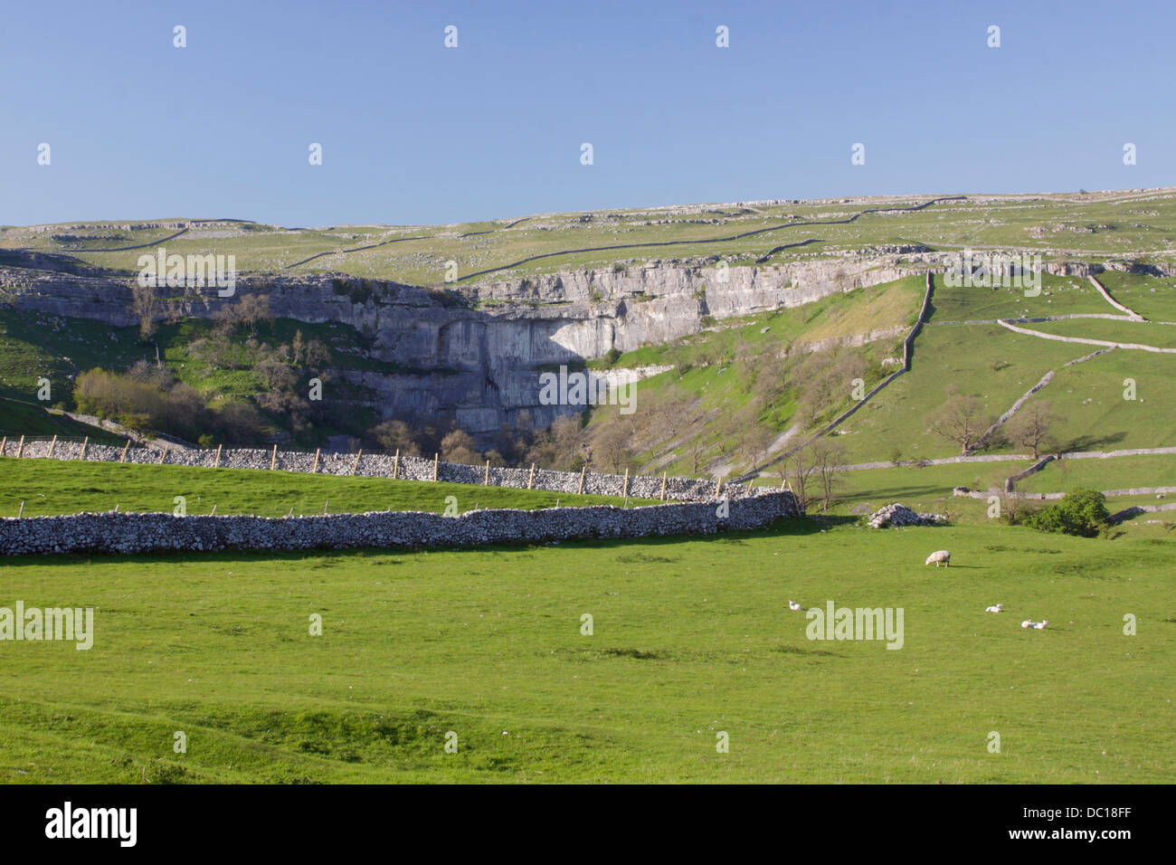 Malham landscape including limestone walls, Malhamdale, North Yorkshire ...