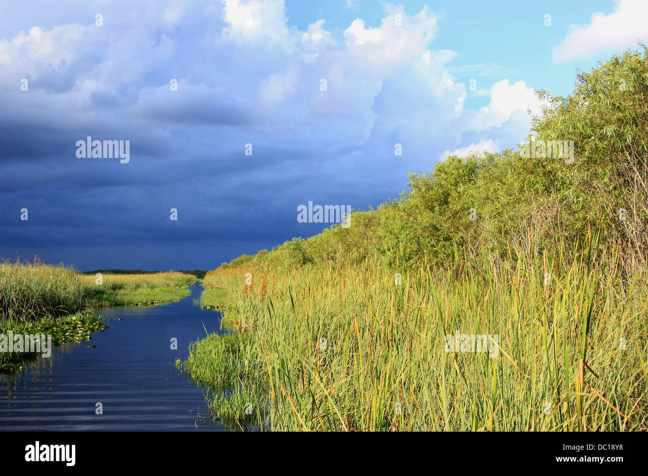 Everglades island hi-res stock photography and images - Alamy