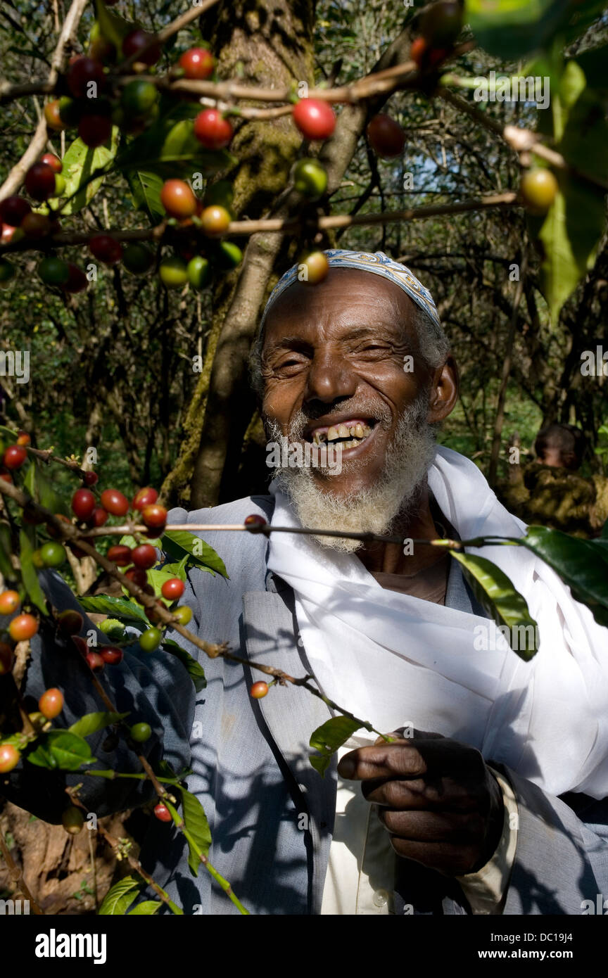 Ethiopia, District: Limu Seku, Zone: Jimma, Village: Dego Galcha. 9 ...