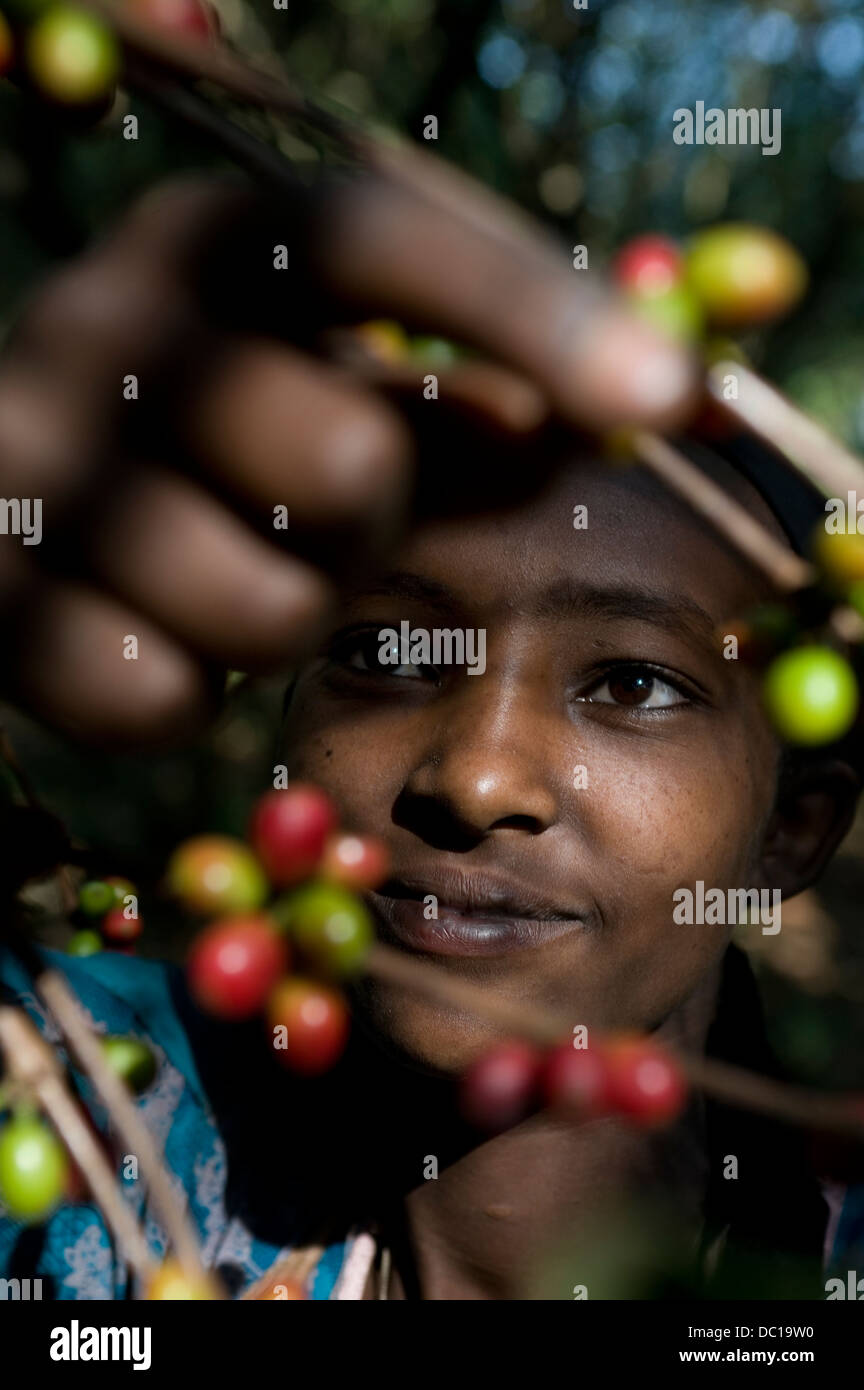 Ethiopia, District: Limu Seku, Zone: Jimma, Village: Dego Galcha. 9 ...
