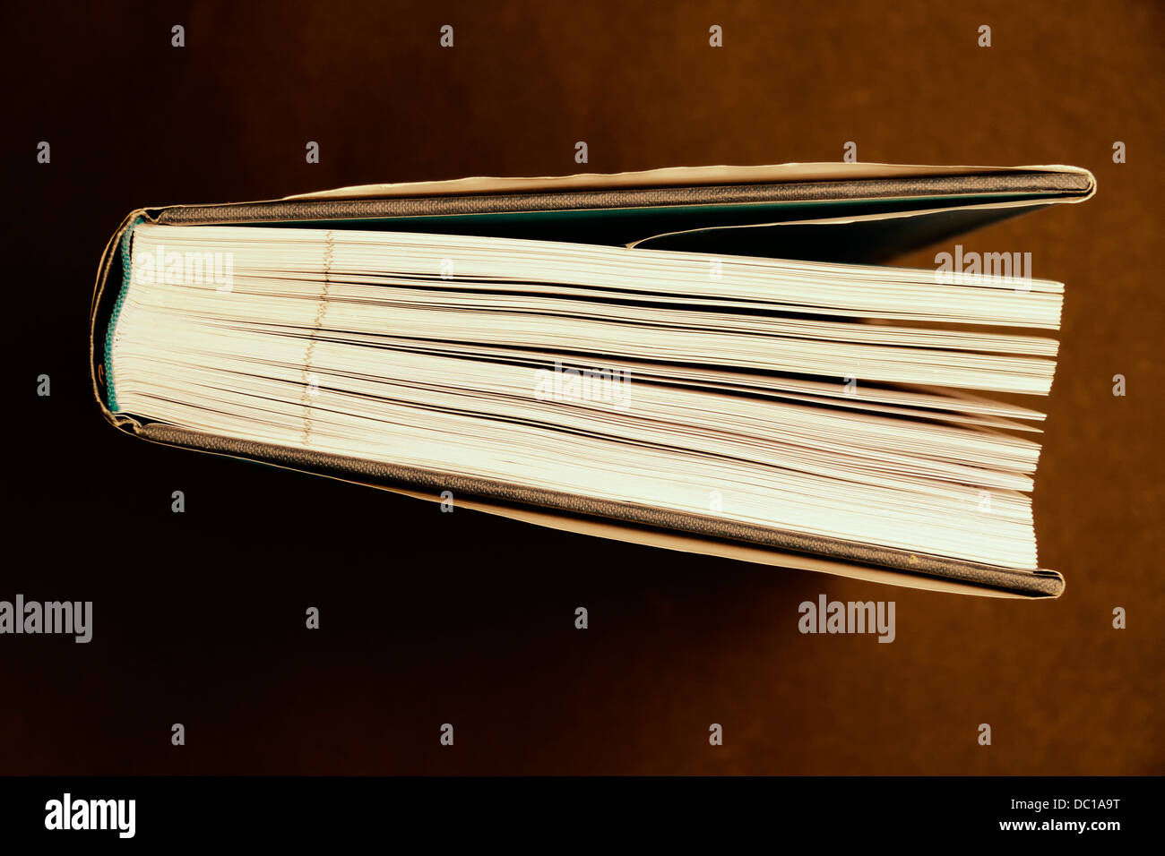 Pages of a reference book Stock Photo - Alamy