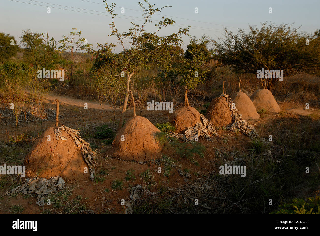 Malawi rumphi district 25 august hi-res stock photography and images ...