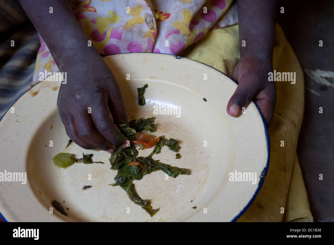 Malawi, Mzimba District, Jackson Chunga Village, 9 September 2009 ...
