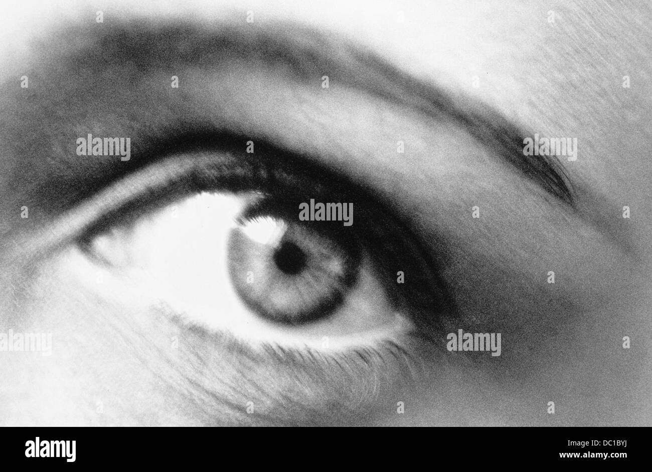 Monochromatic vision Black and White Stock Photos & Images - Alamy