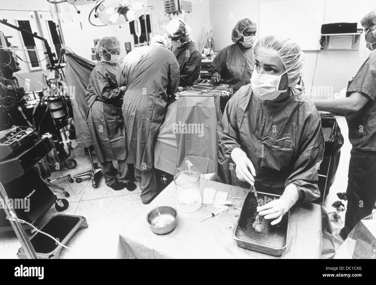 Surgery. Kidney transplant Stock Photo - Alamy