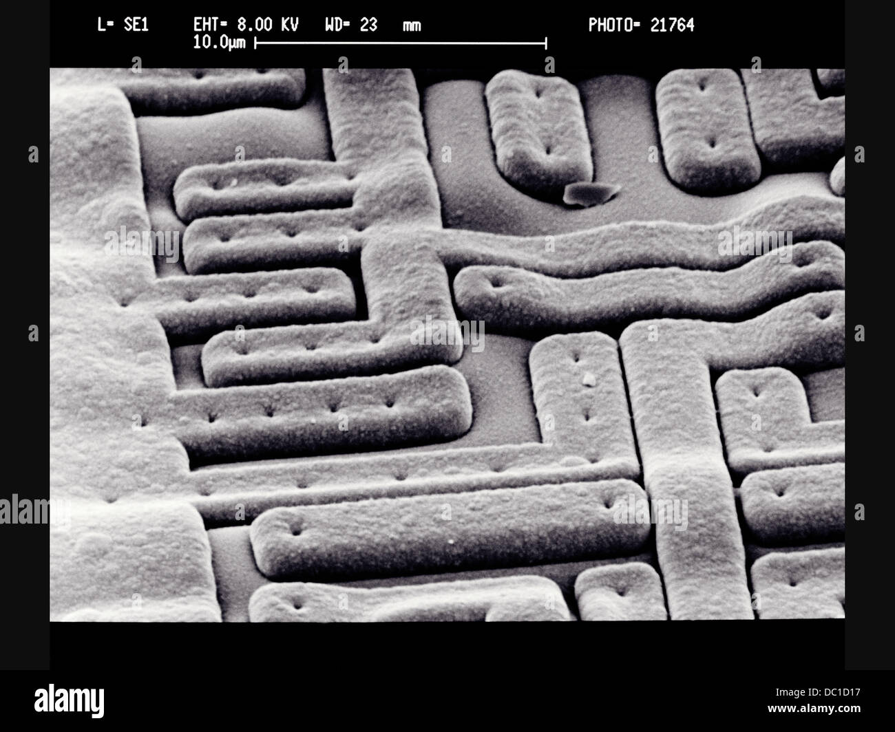 Silicon chip magnification hi-res stock photography and images - Alamy