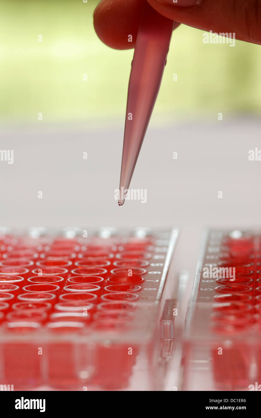 Colors in test tube hi-res stock photography and images - Alamy