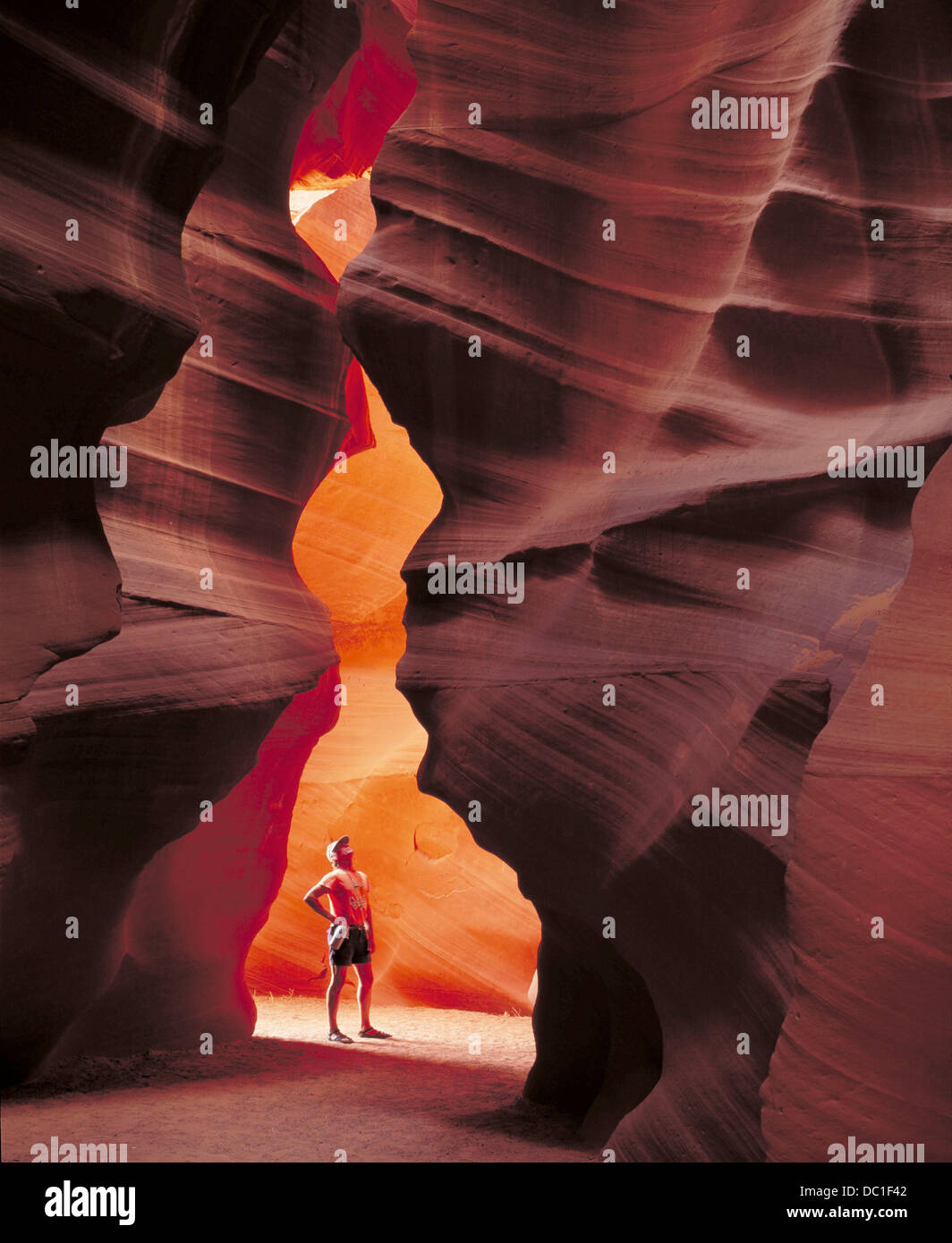 Slot Canyon. Colorado Plateau. Northern Arizona. USA Stock Photo - Alamy