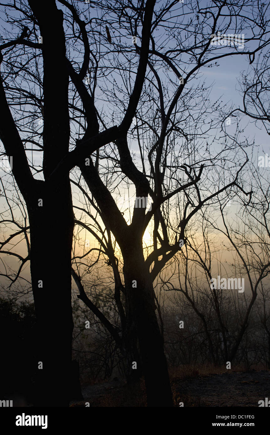 Sunrise pune hi-res stock photography and images - Alamy