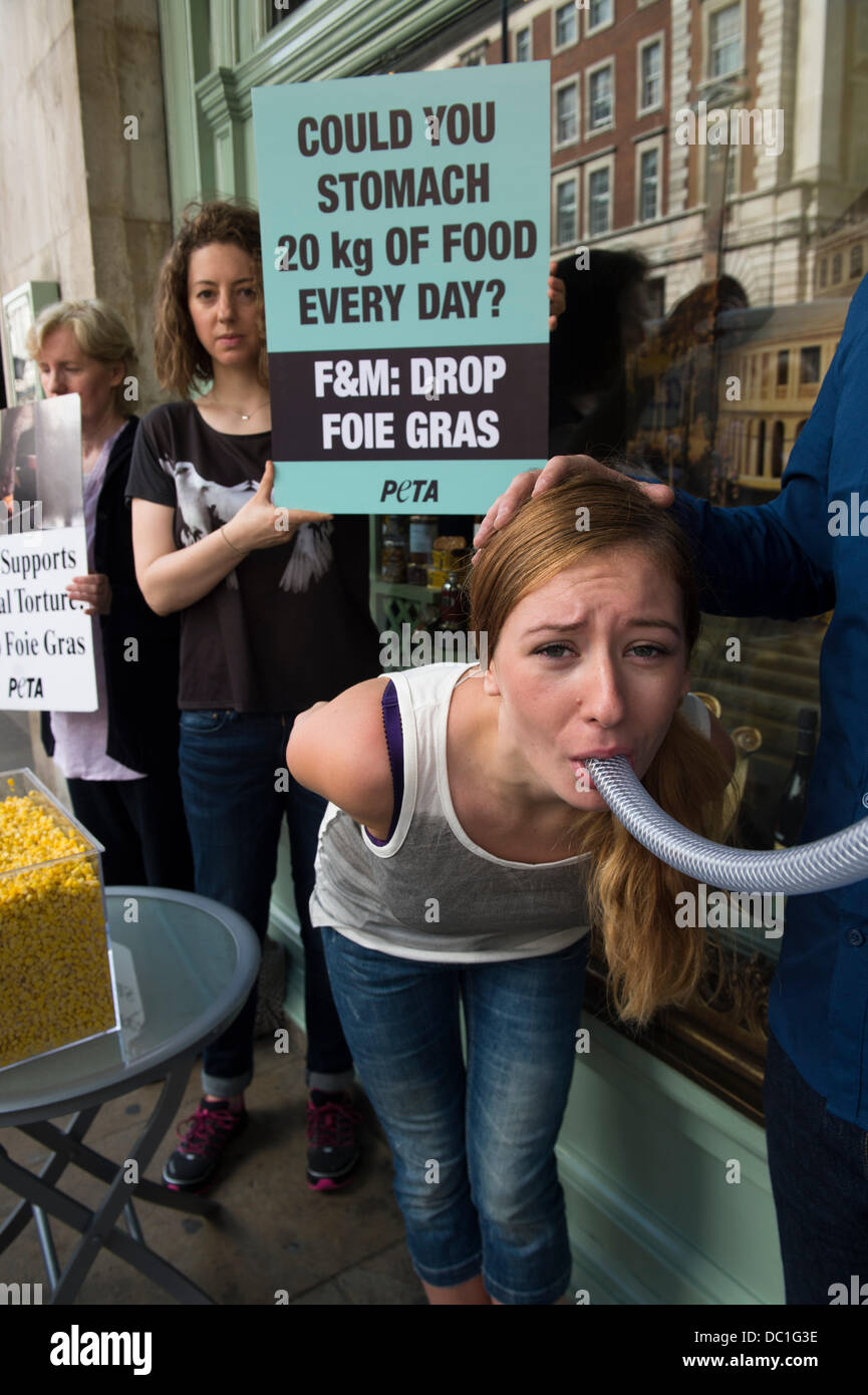 Force feed animal rights hi-res stock photography and images - Alamy