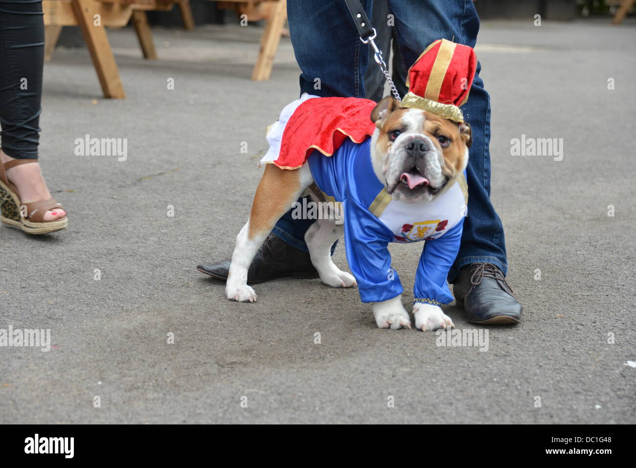 London, UK. 6th Aug, 2013. Maverick Bulldogs and owner Karen ...