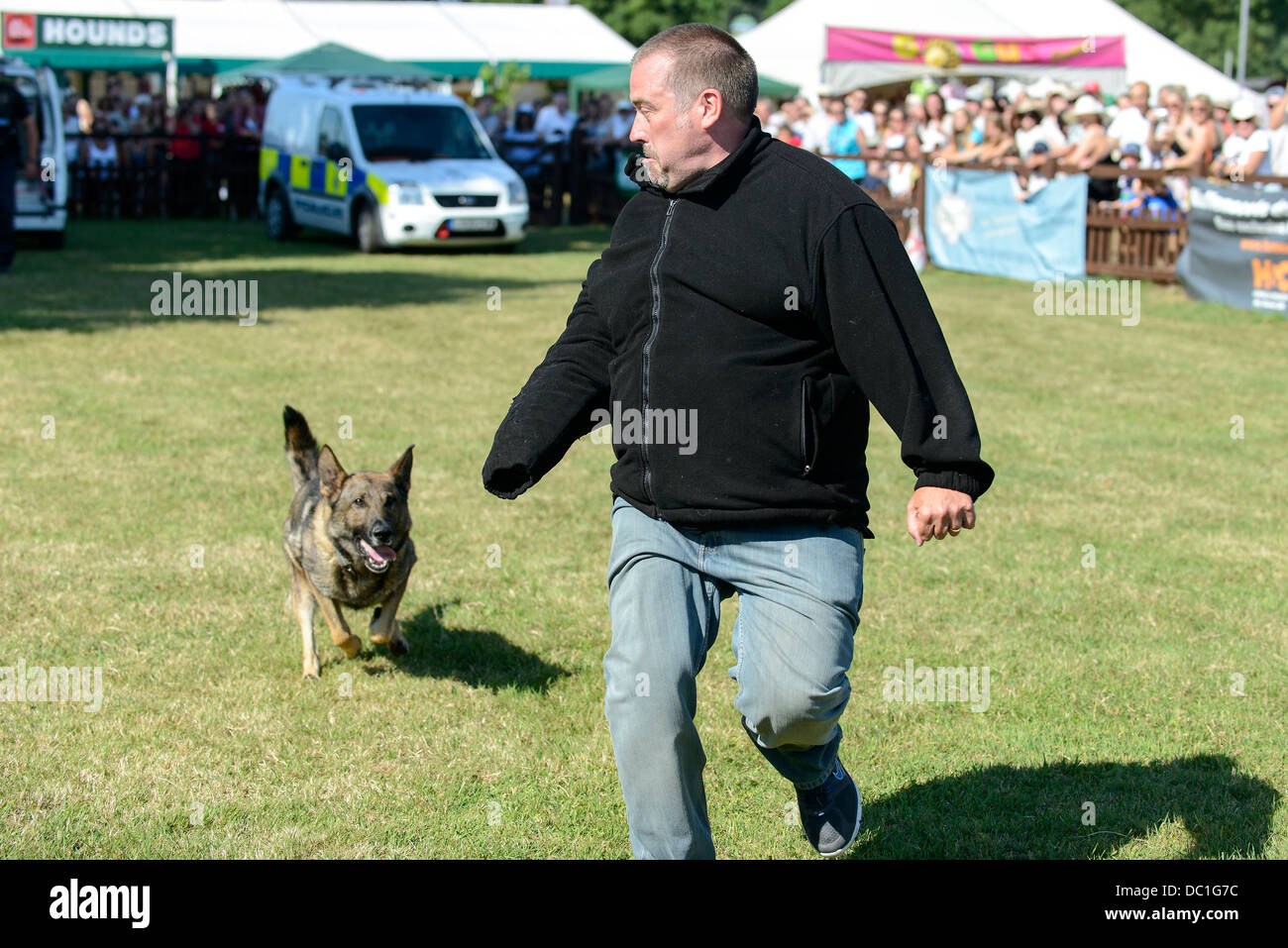 British police dog handler hi-res stock photography and images - Alamy