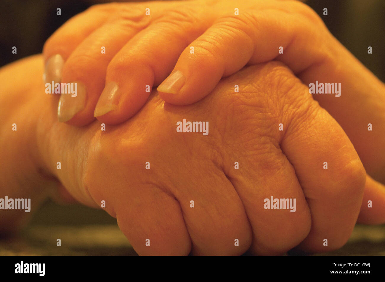 Old sage thinking hi-res stock photography and images - Alamy