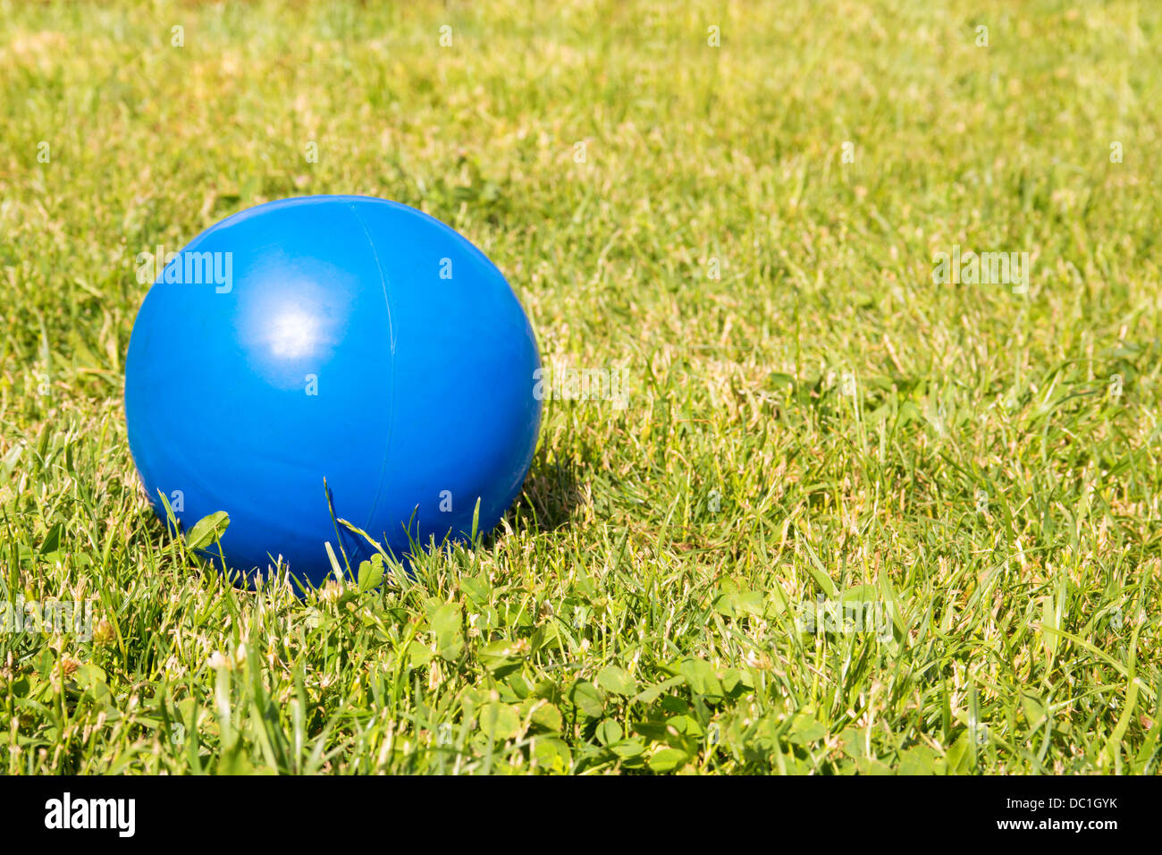 Rubber blue ball on green grass with copy space. Summer sunny family ...