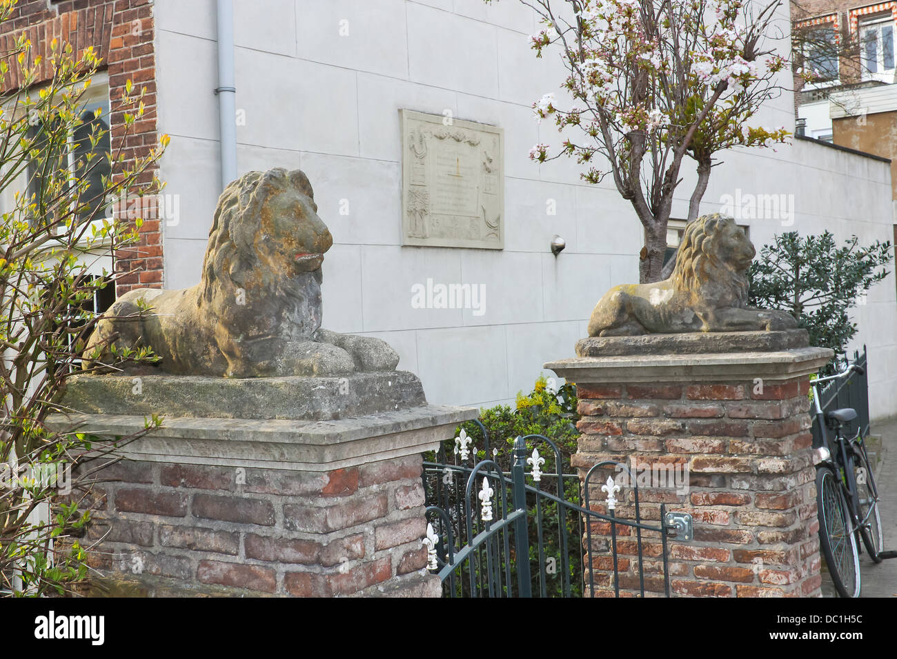 House front lion statue hi-res stock photography and images - Alamy