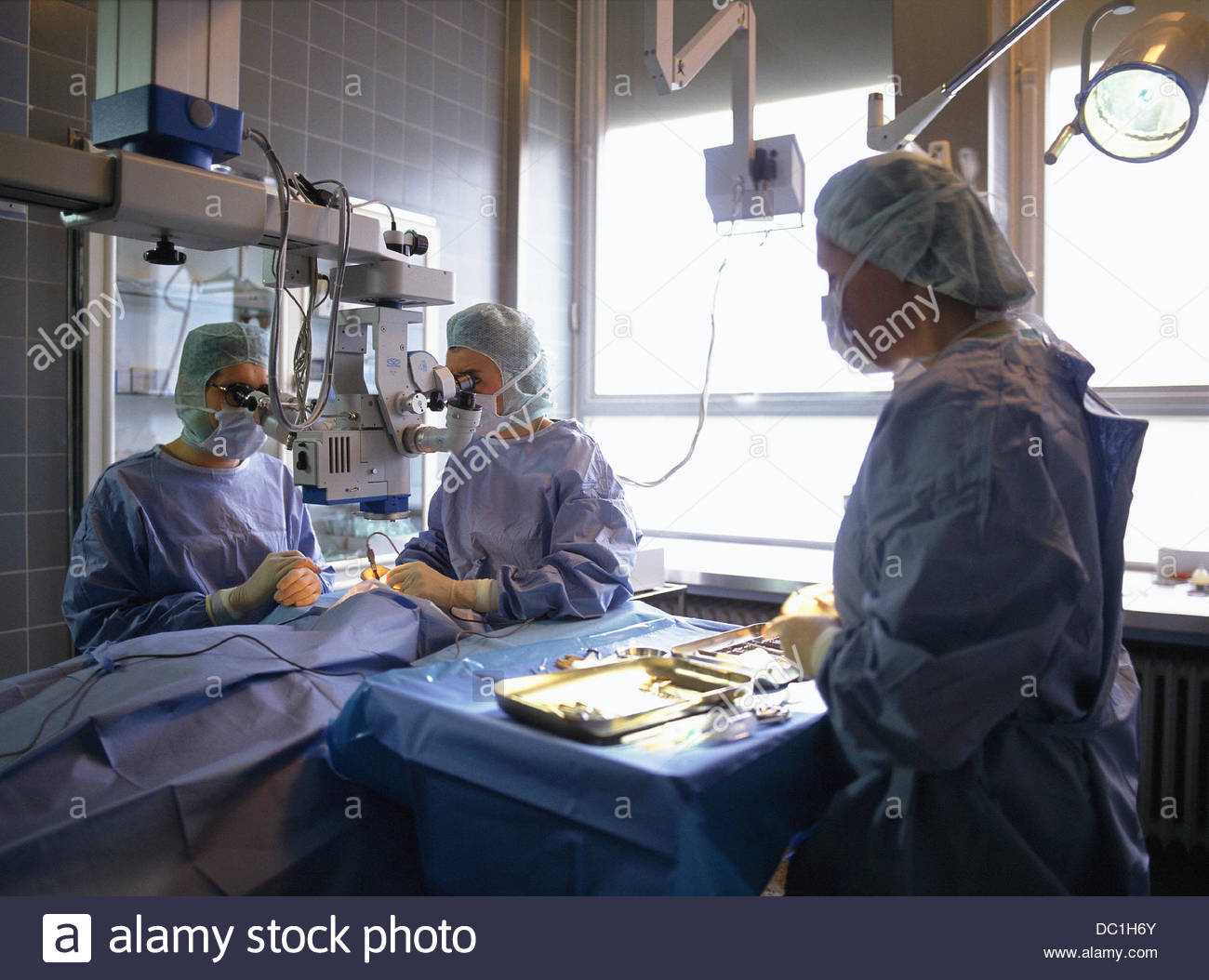 Microsurgery High Resolution Stock Photography and Images - Alamy