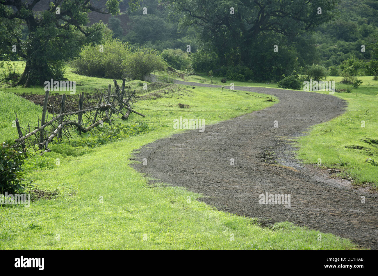 Winding path in rainy season, Pune, Maharashtra, India Stock Photo - Alamy