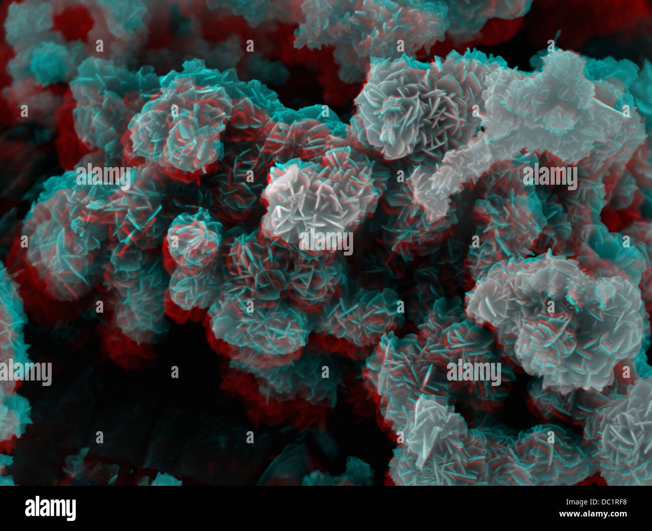 Scanning electron microscope sem image hi-res stock photography and ...
