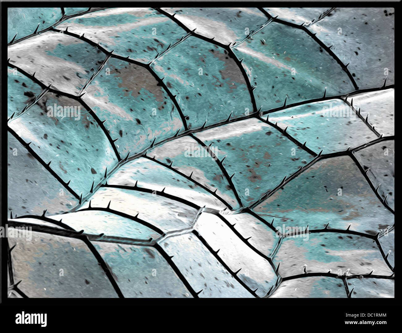 Dragonfly wing close up microscope hi-res stock photography and images ...