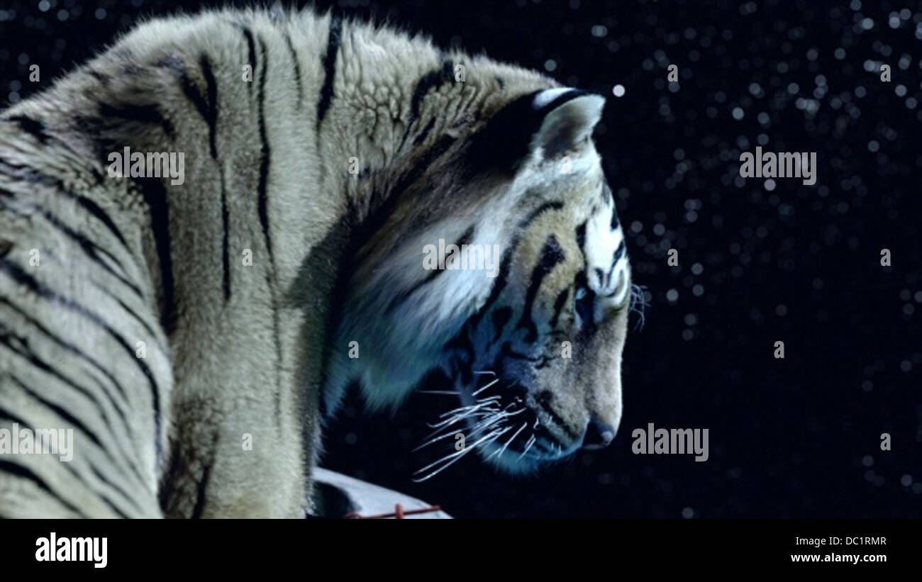 Life of pi film tiger hi-res stock photography and images - Alamy