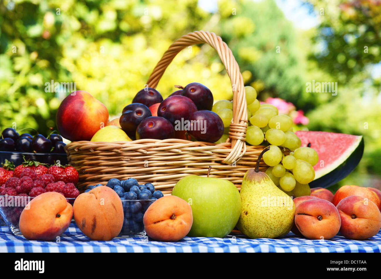 Basket of fresh organic fruits in the garden Stock Photo - Alamy