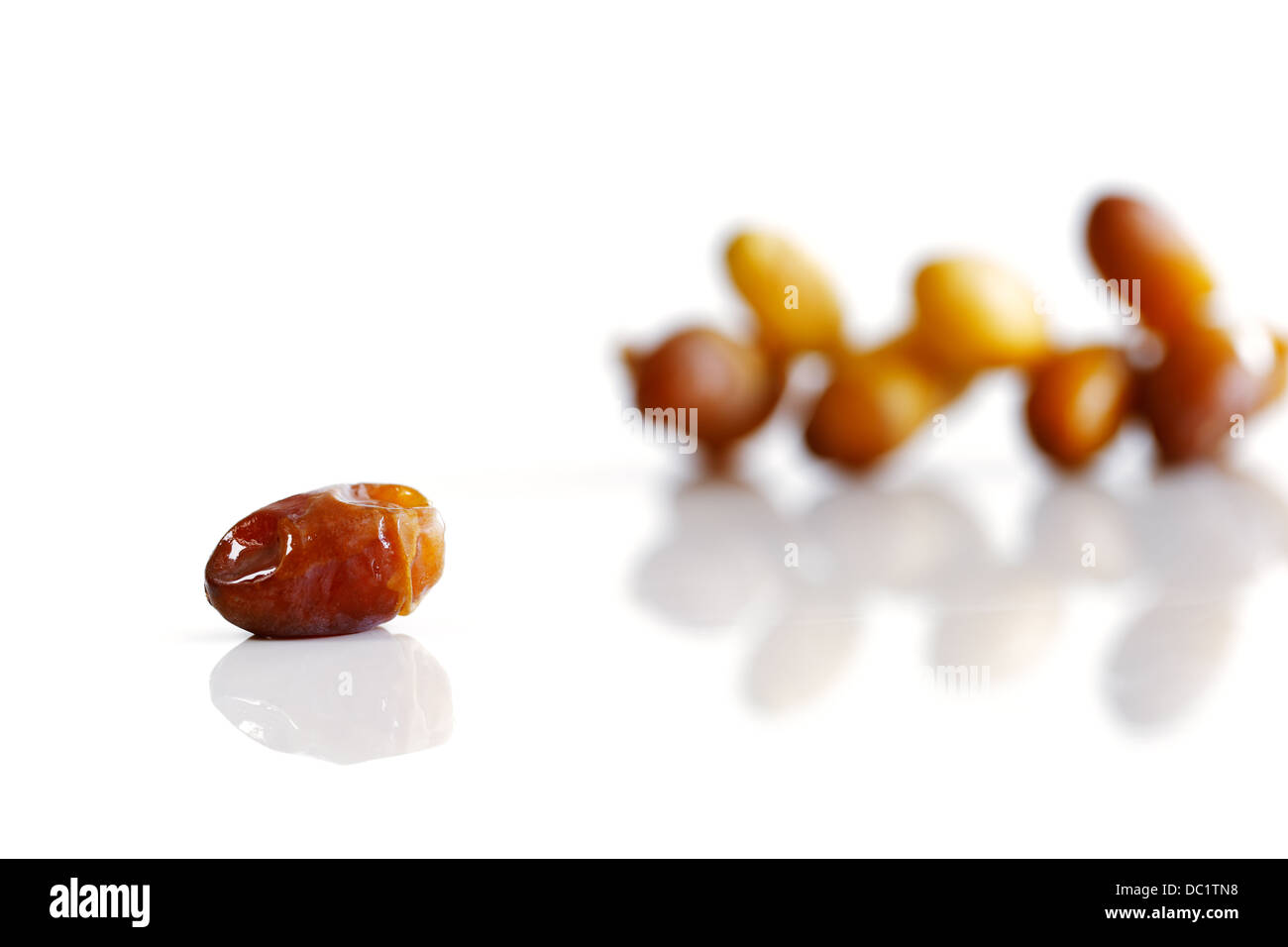 Dates are the fruit of celebration and Islam especially during Ramadan ...