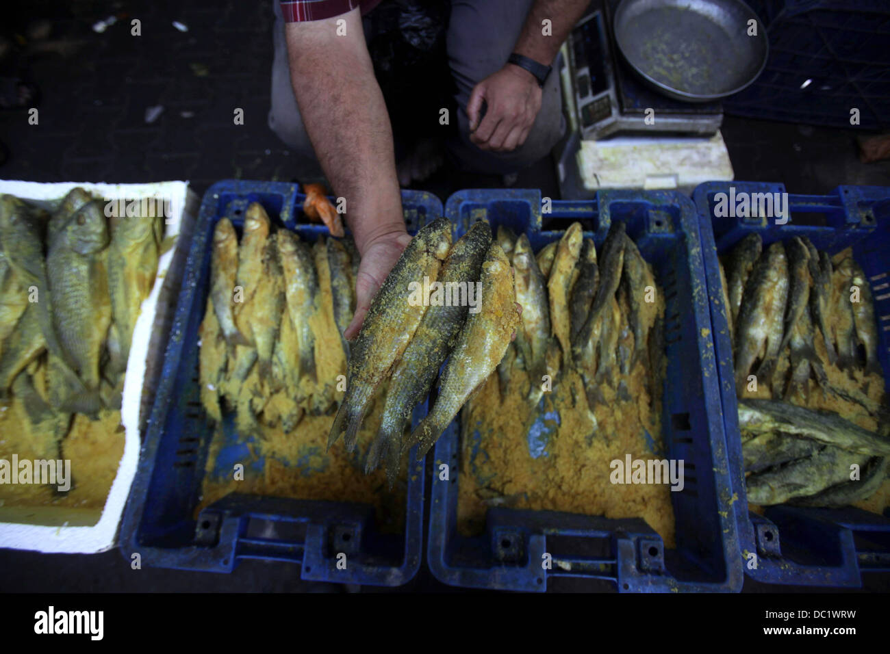 Aug. 7, 2013 - Khan Youns, Gaza Strip, Palestinian Territory - A ...