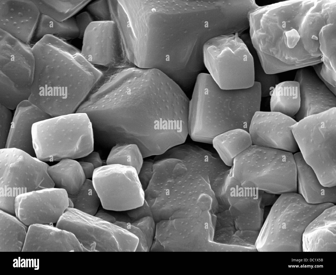 Salt microscope hi-res stock photography and images - Alamy