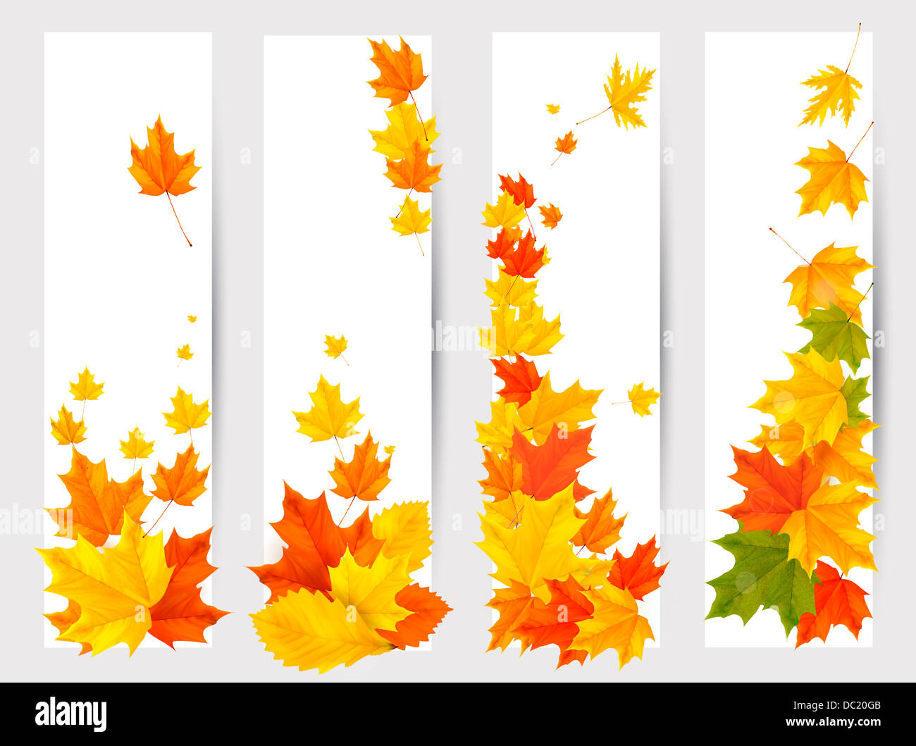 Set of autumn banners with colorful leaves. Back to school. Vector ...