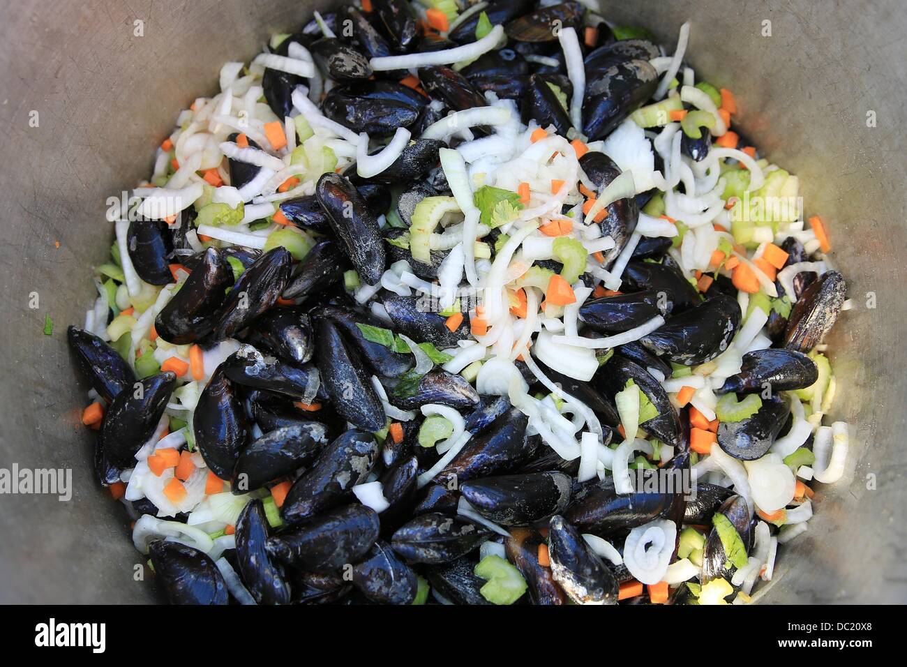 Freshly cooked Mytilus mussels are pictured during a trip of the ...