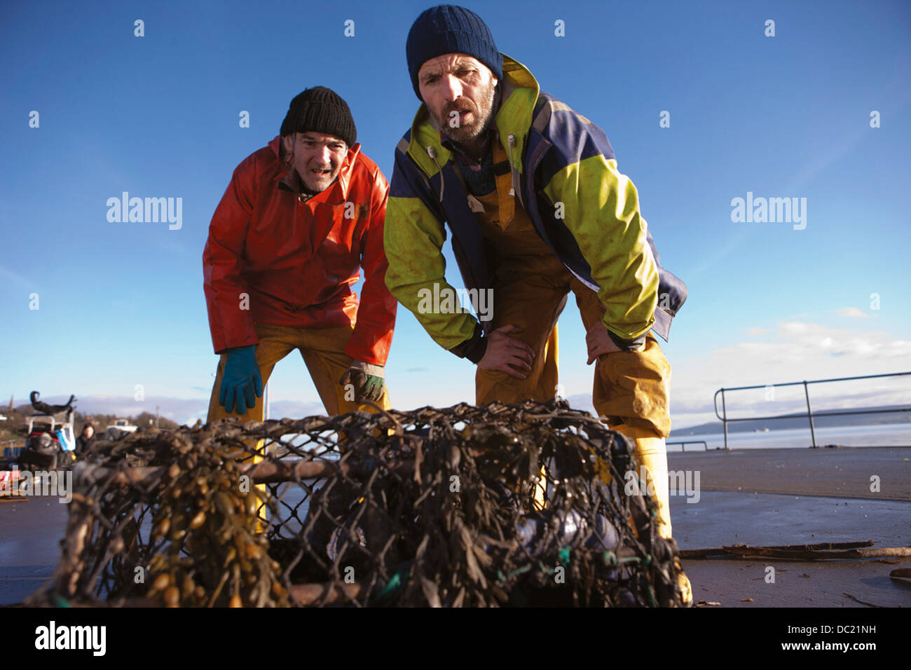 GRABBERS (2012) RICHARD COYLE, JON WRIGHT (DIR) 001 MOVIESTORE ...