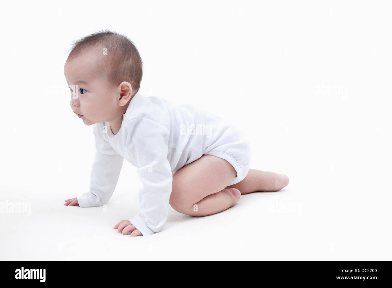a baby crawling Stock Photo - Alamy