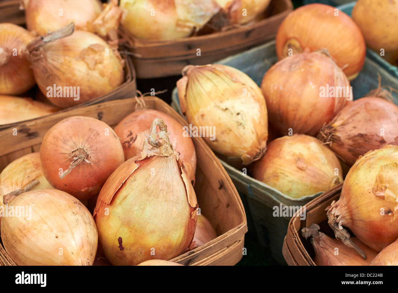 Yellow vegetable display hi-res stock photography and images - Alamy